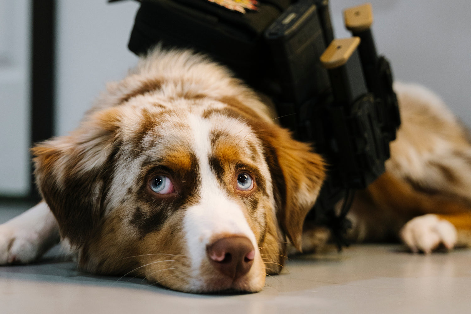 Iron Monkey Rifle Works